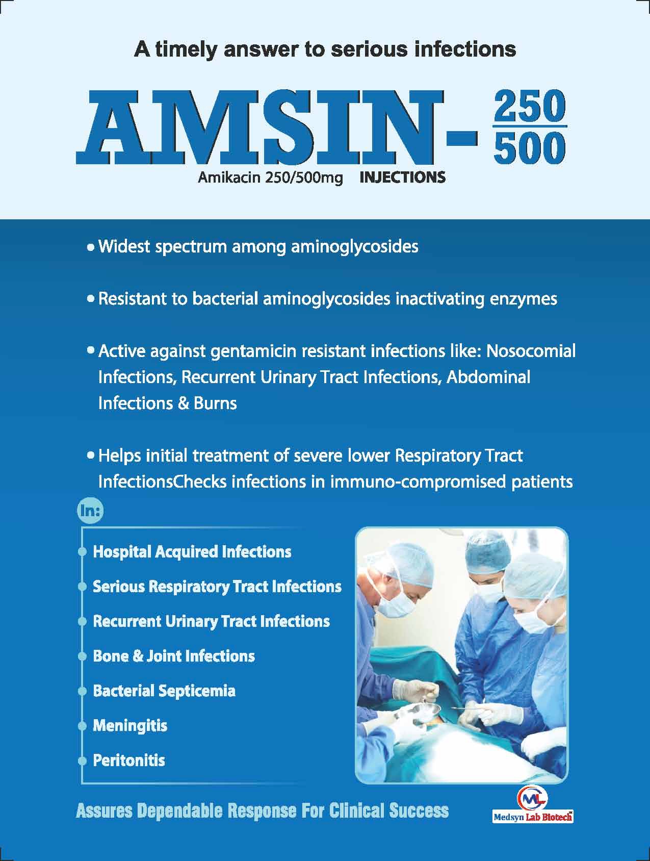 AMSIN 500 - Medsyn Lab Biotech - Best PCD Pharma Company | Third Party ...